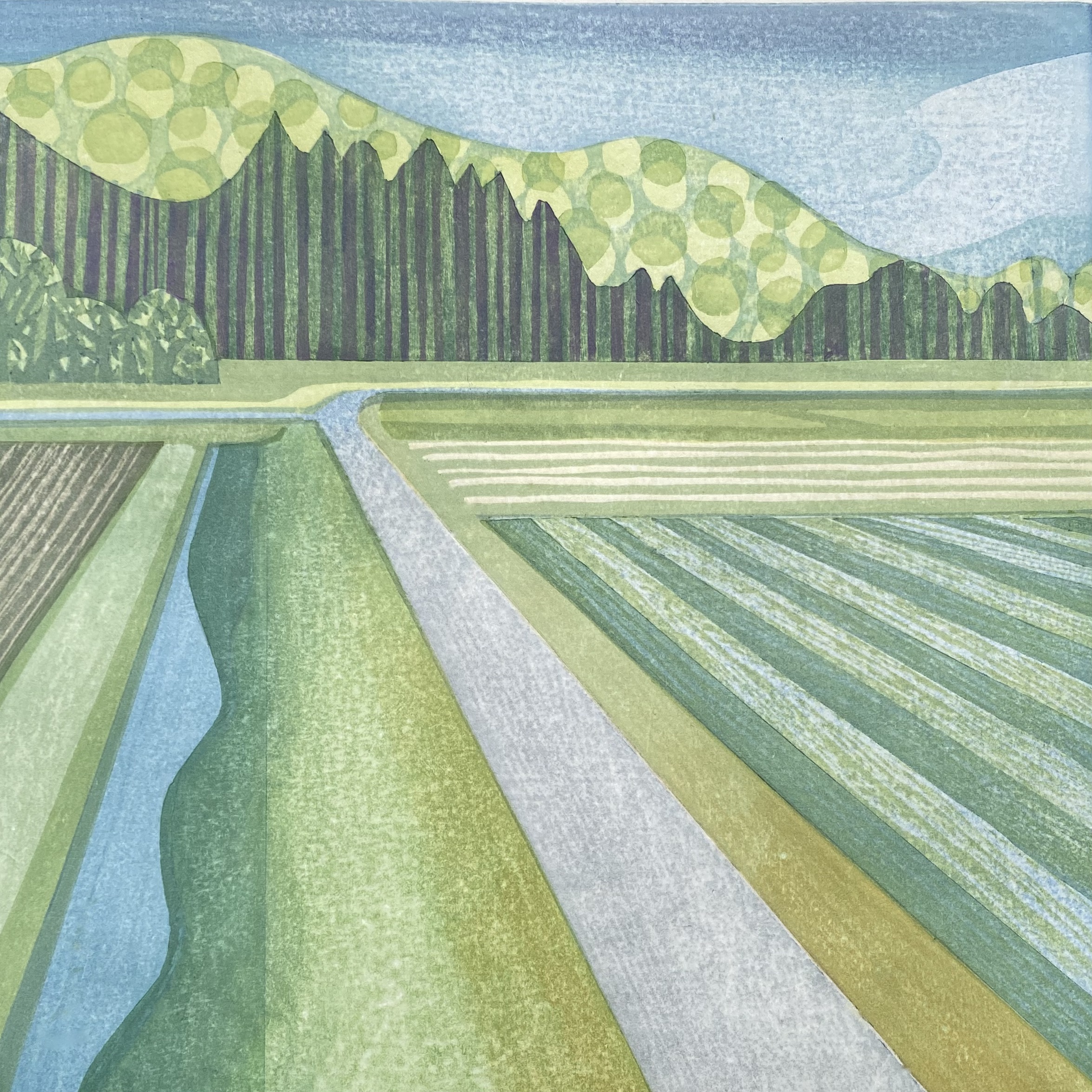 “Field Geometry” – Shimizu Woodcuts